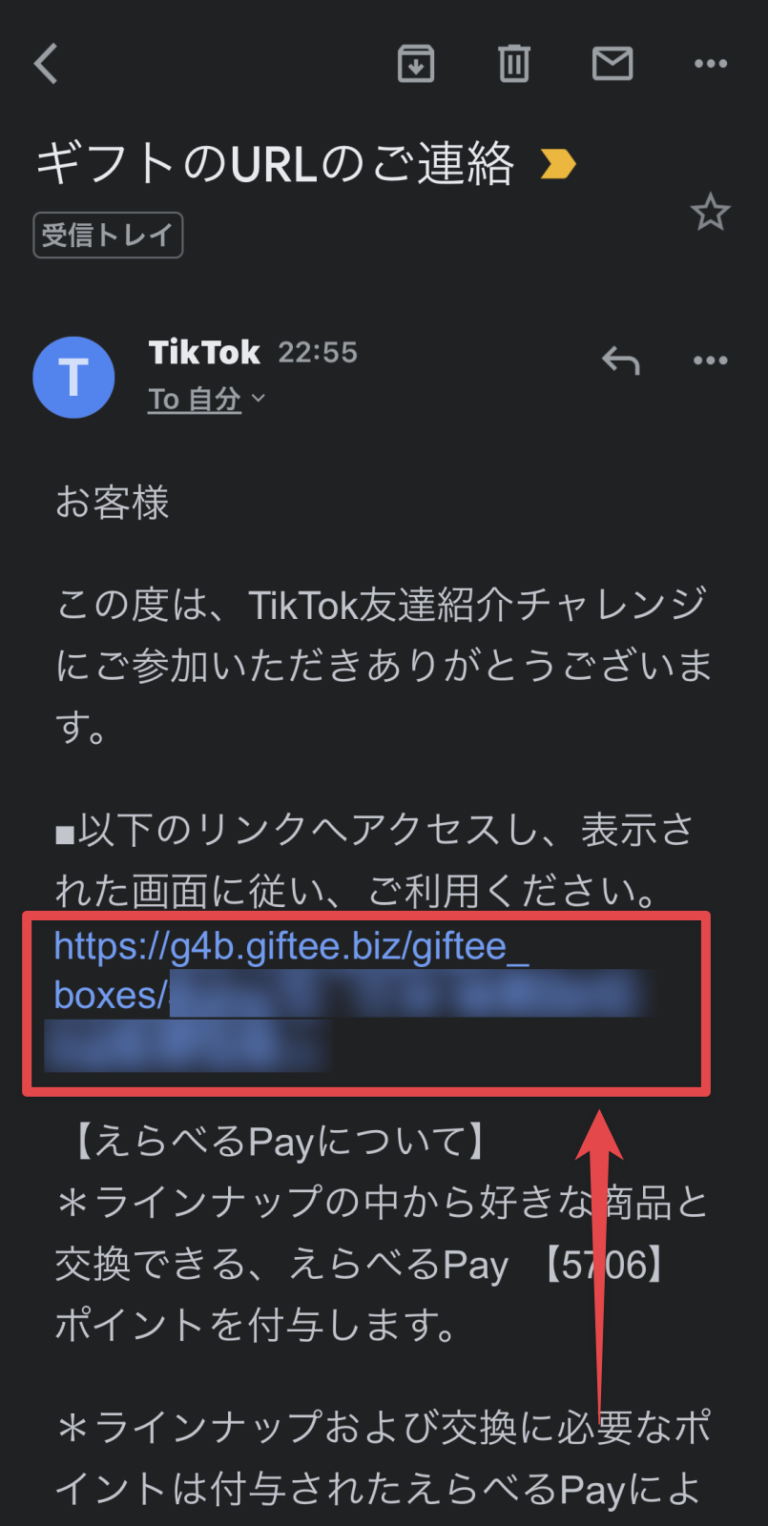 【TikTokLite】獲得ポイントをPayPayに交換してみたよ【簡単】 - nyanco! ブログ